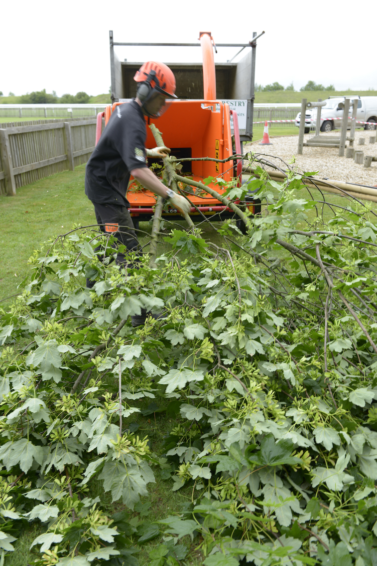 Timberwolf TW 230HB Diesel | Davies Implements